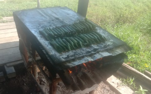 Lompong Sagu, Kuliner Khas Minang yang Memikat Hati Masyarakat Aceh Singkil