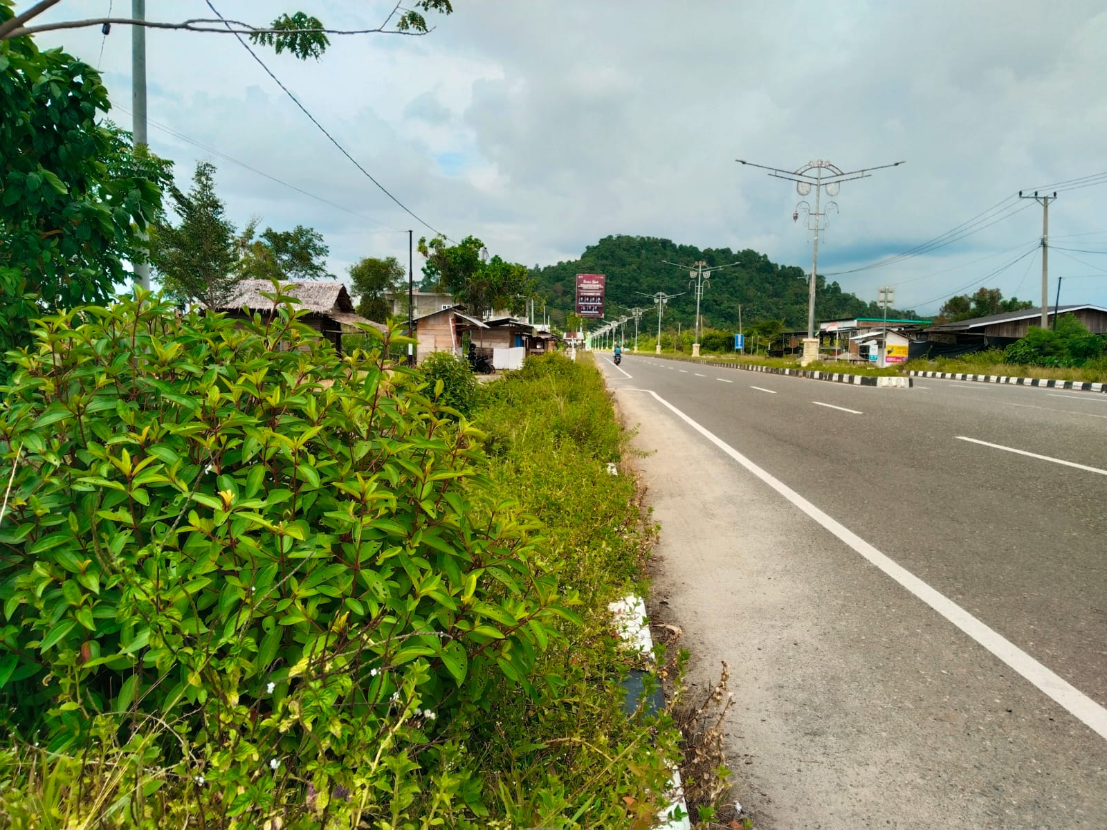 Jalan Dua Jalur Calang Mulai Ditumbuhi Semak Belukar