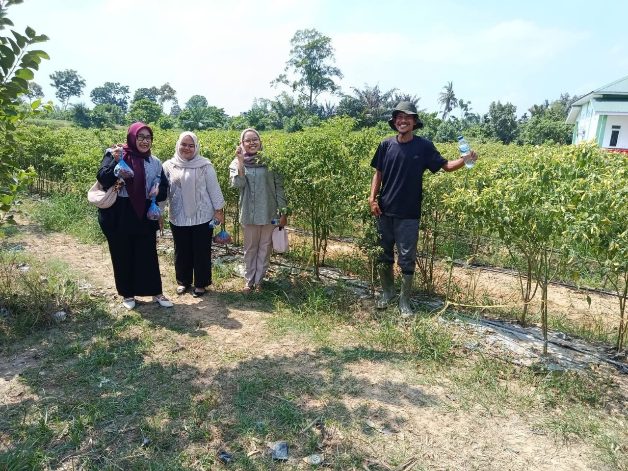 Sokong Pertanian Masyarakat, Pertamina EP Rantau Field Sulap Lahan ...